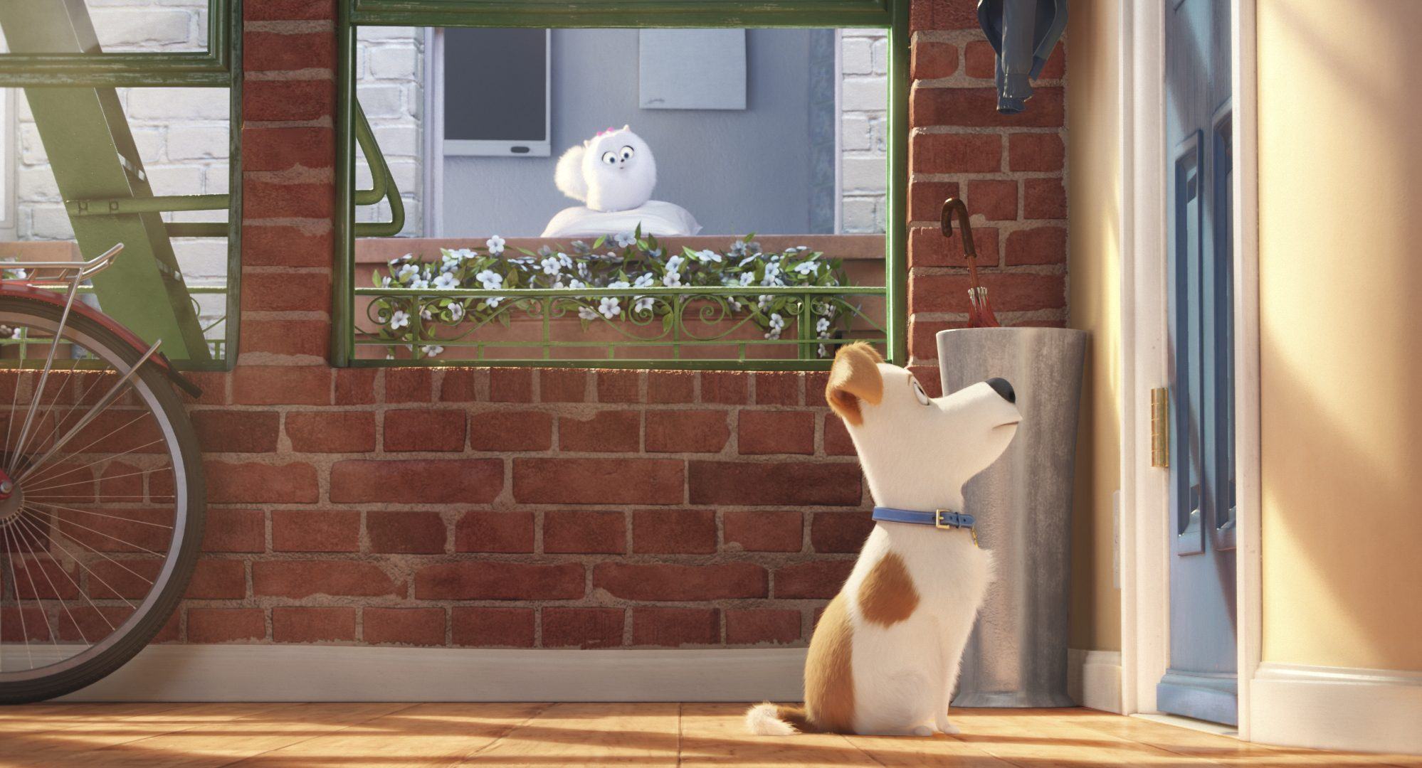 Veja o trailer e imagens da animação Pets: A Vida Secreta dos Bichos ...