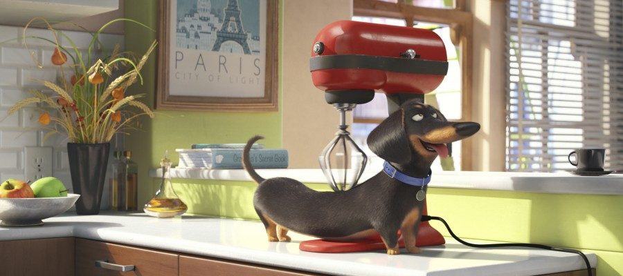 Veja o trailer e imagens da animação Pets: A Vida Secreta dos Bichos ...